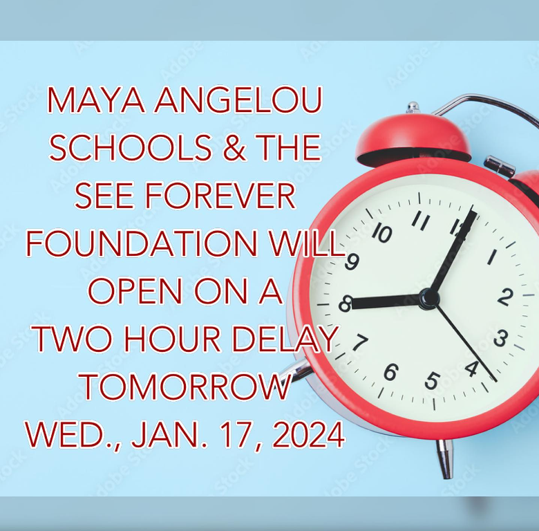 The Maya Academy Staff Listing (2020) – Maya Angelou Public Charter ...